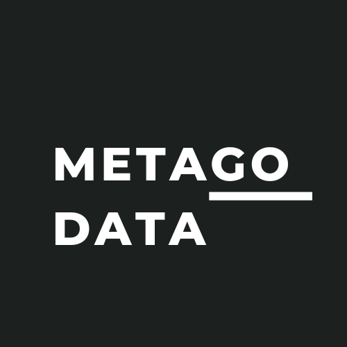 MetaGo Data – Grow your business through AI, People & Process